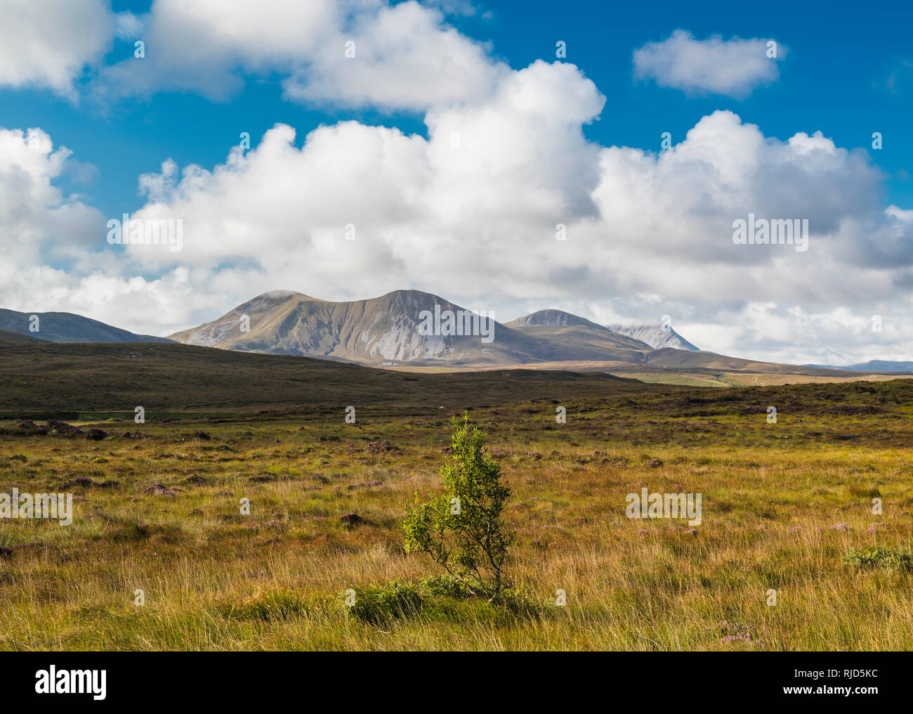 View across bogland towards the Derryveagh Mountains, including the ...