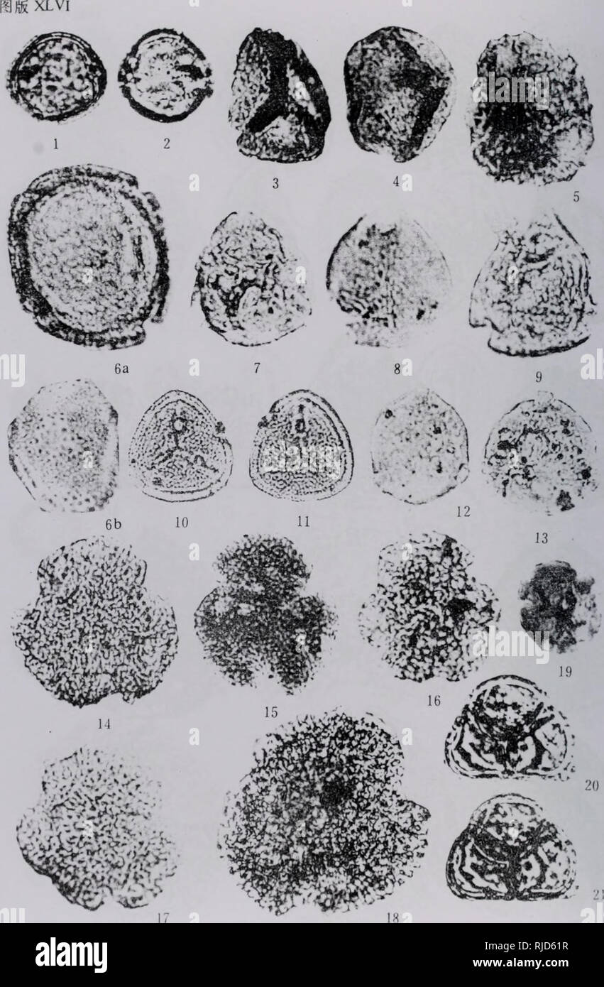 Ji li and guan li hi-res stock photography and images - Alamy