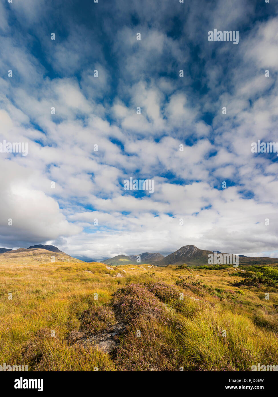 View across bog towards the Twelve Bens (Beanna Beola) mountain range ...