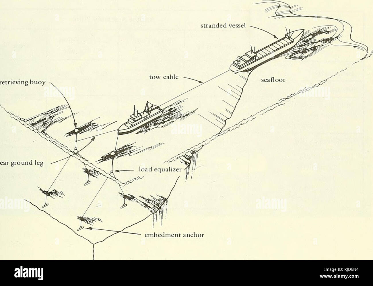 Embedment hi-res stock photography and images - Alamy