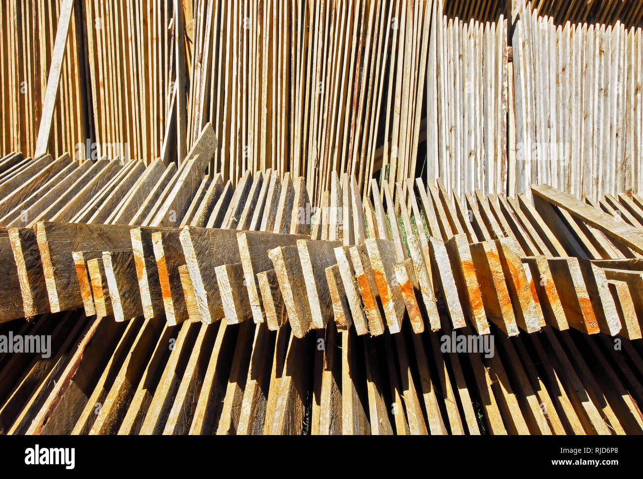 Cut and marked pine wood planks layed-out for drying in the sun, seen ...