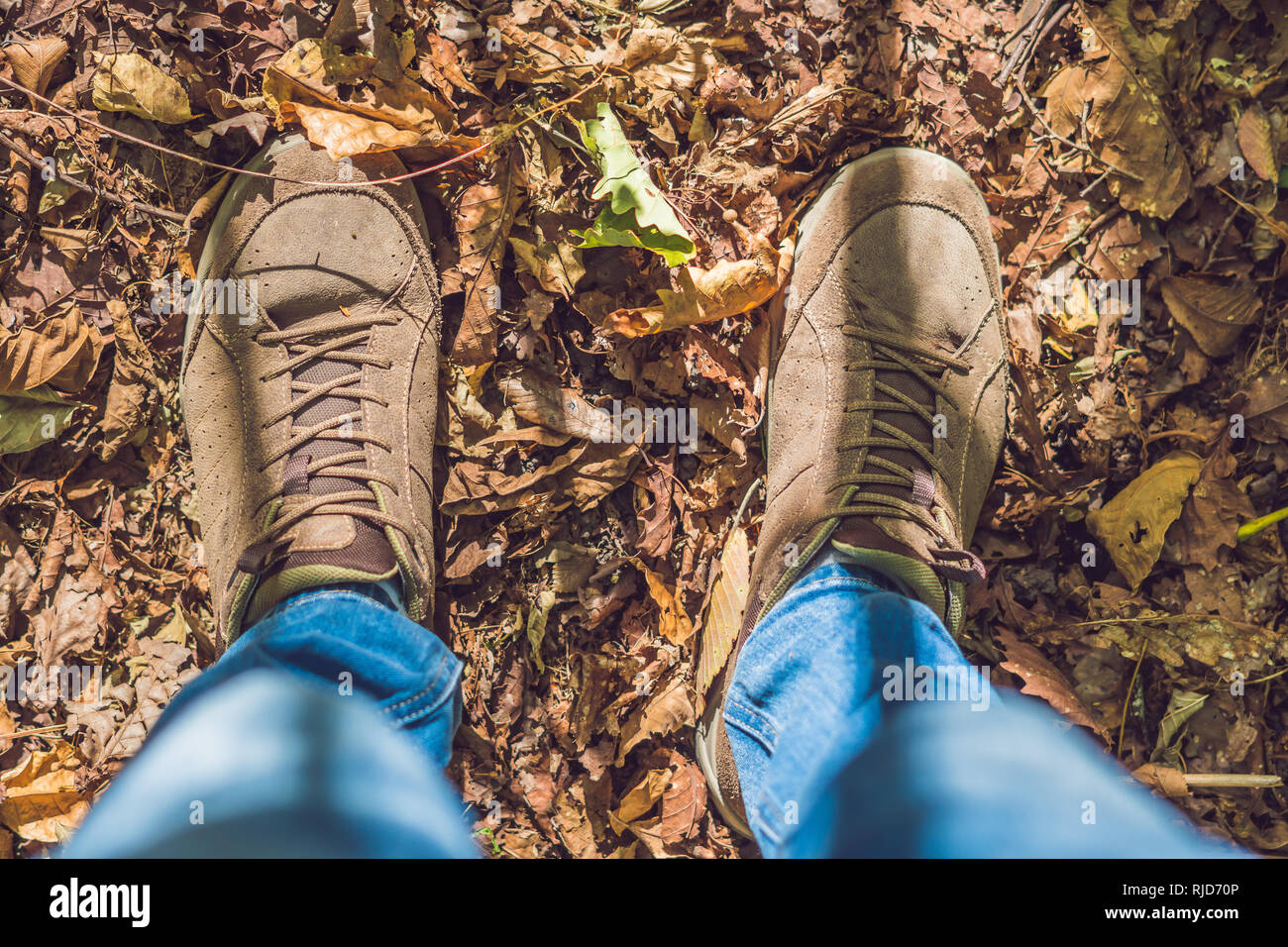 Feet sneakers walking on fall leaves in park with Autumn season nature ...