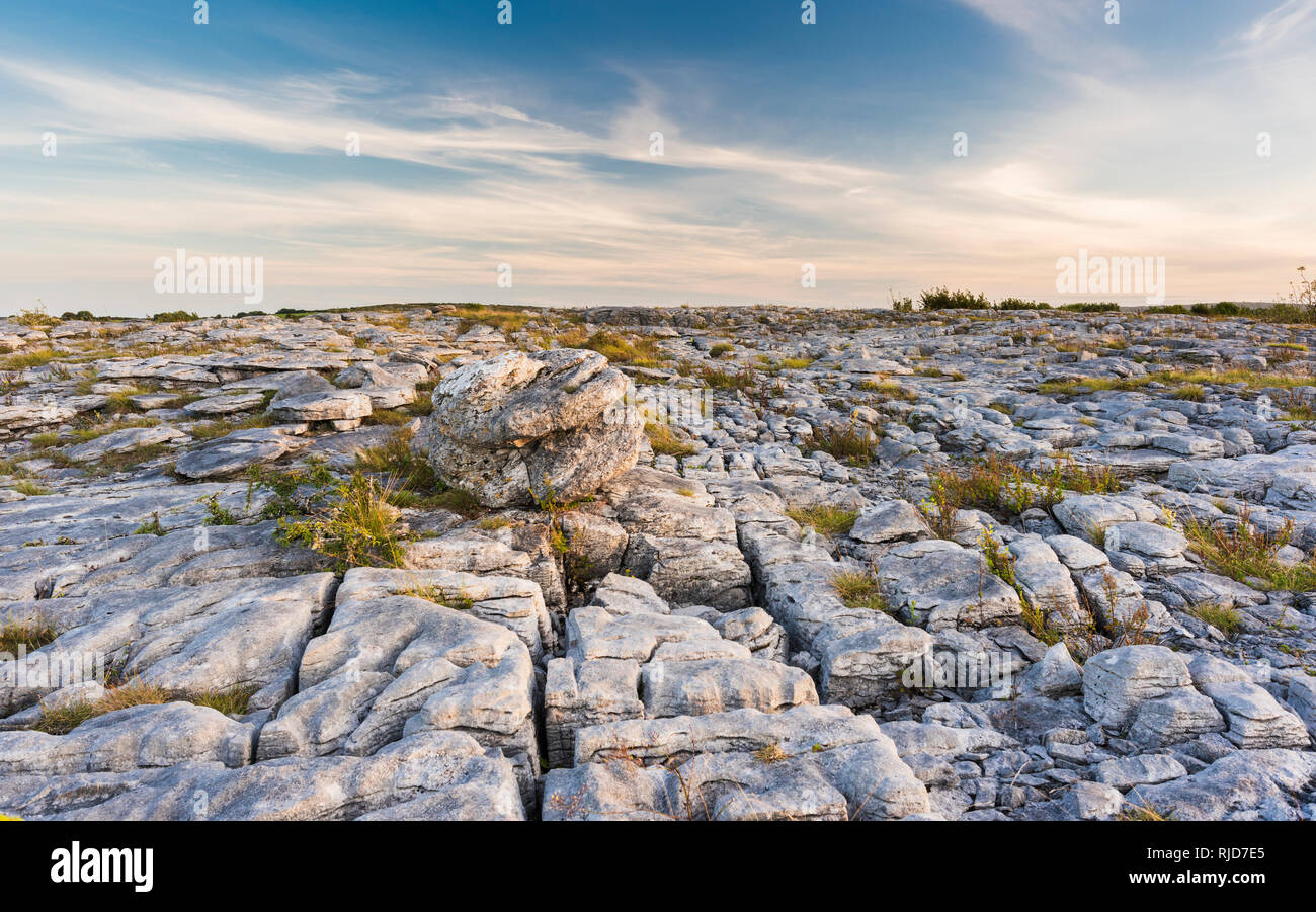 Limestone pavement in the Burren County Clare, Ireland Stock Photo - Alamy