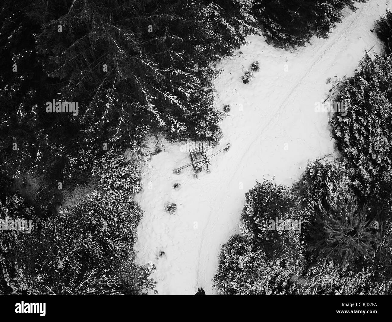 Above tree tops Black and White Stock Photos & Images - Alamy