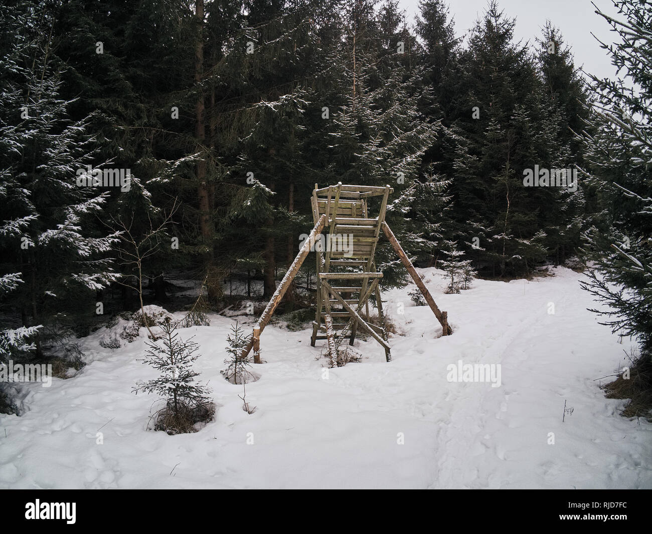 Aerial view over tree tops in winter season in the alps Stock Photo - Alamy