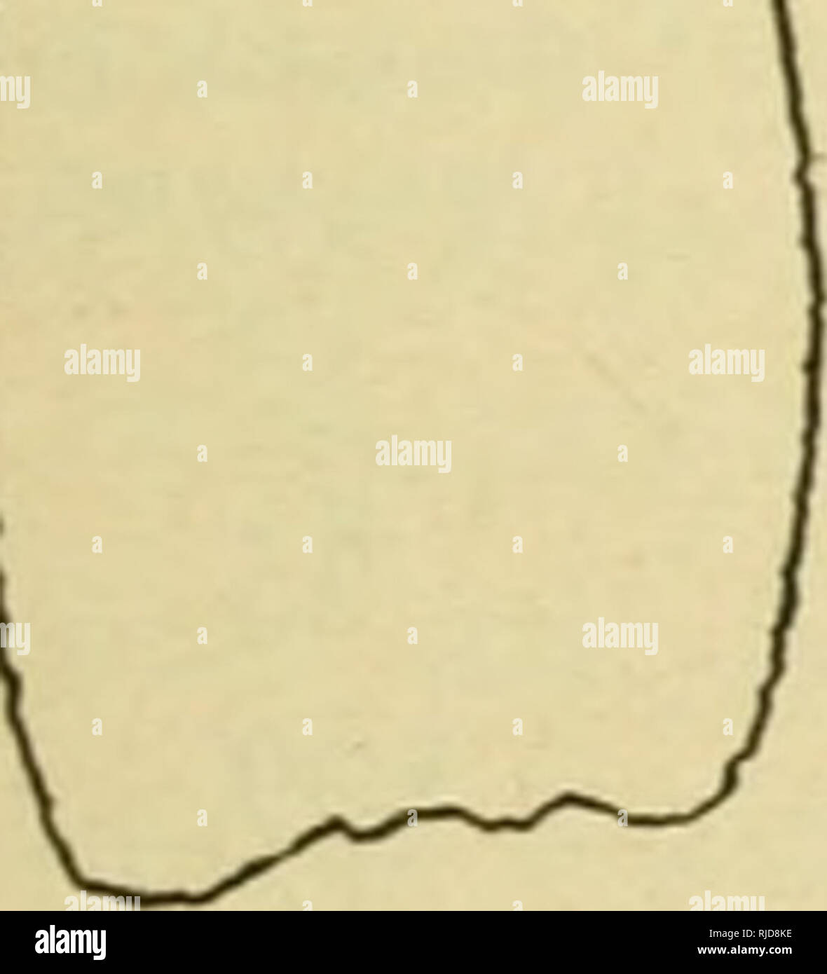 Inch thick four inches wide hi-res stock photography and images - Alamy