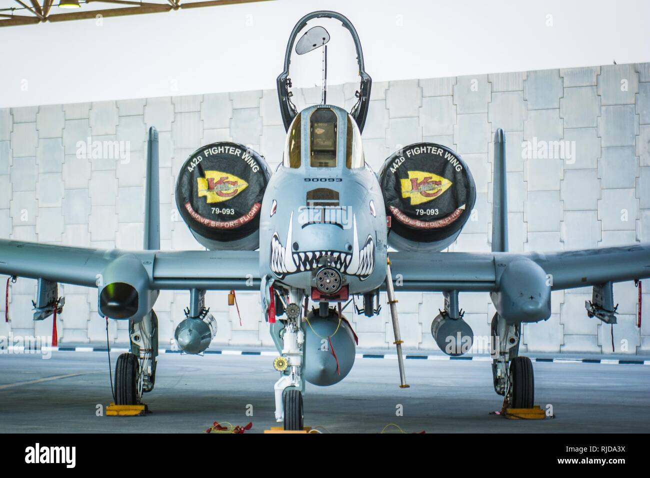 442 fighter wing hi-res stock photography and images - Alamy