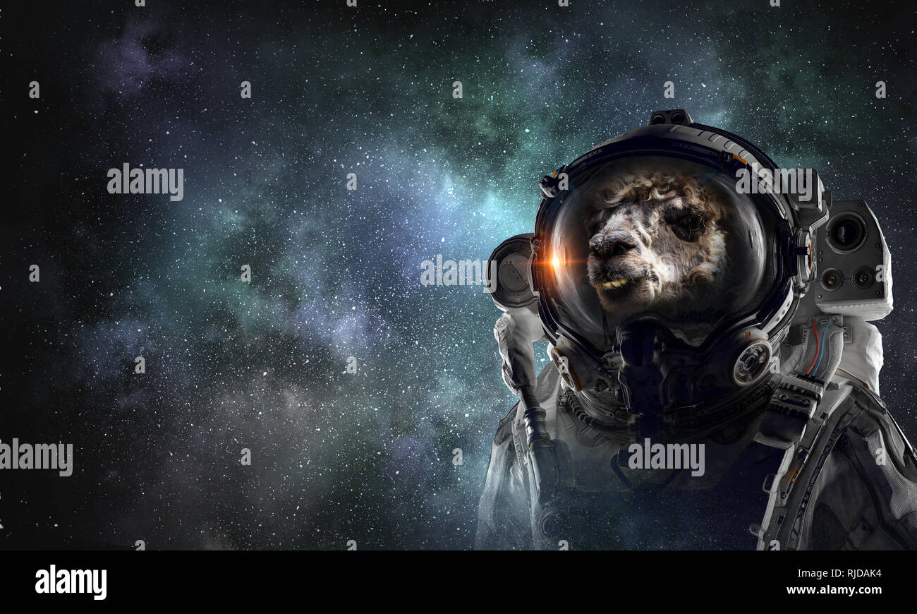 Astronaut camel wearing space suit against starry sky. Mixed media ...