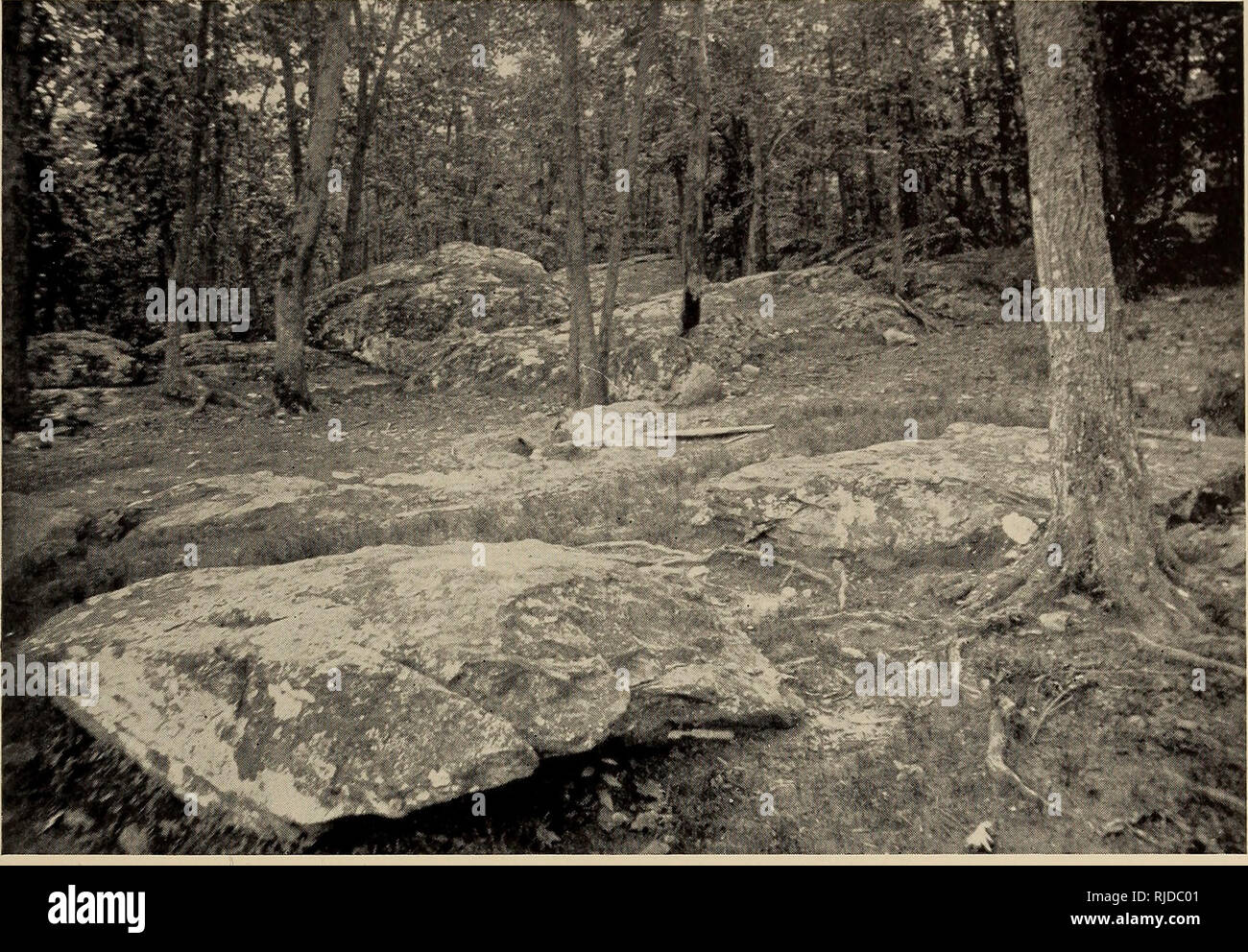 Meta rhyolite hi-res stock photography and images - Alamy