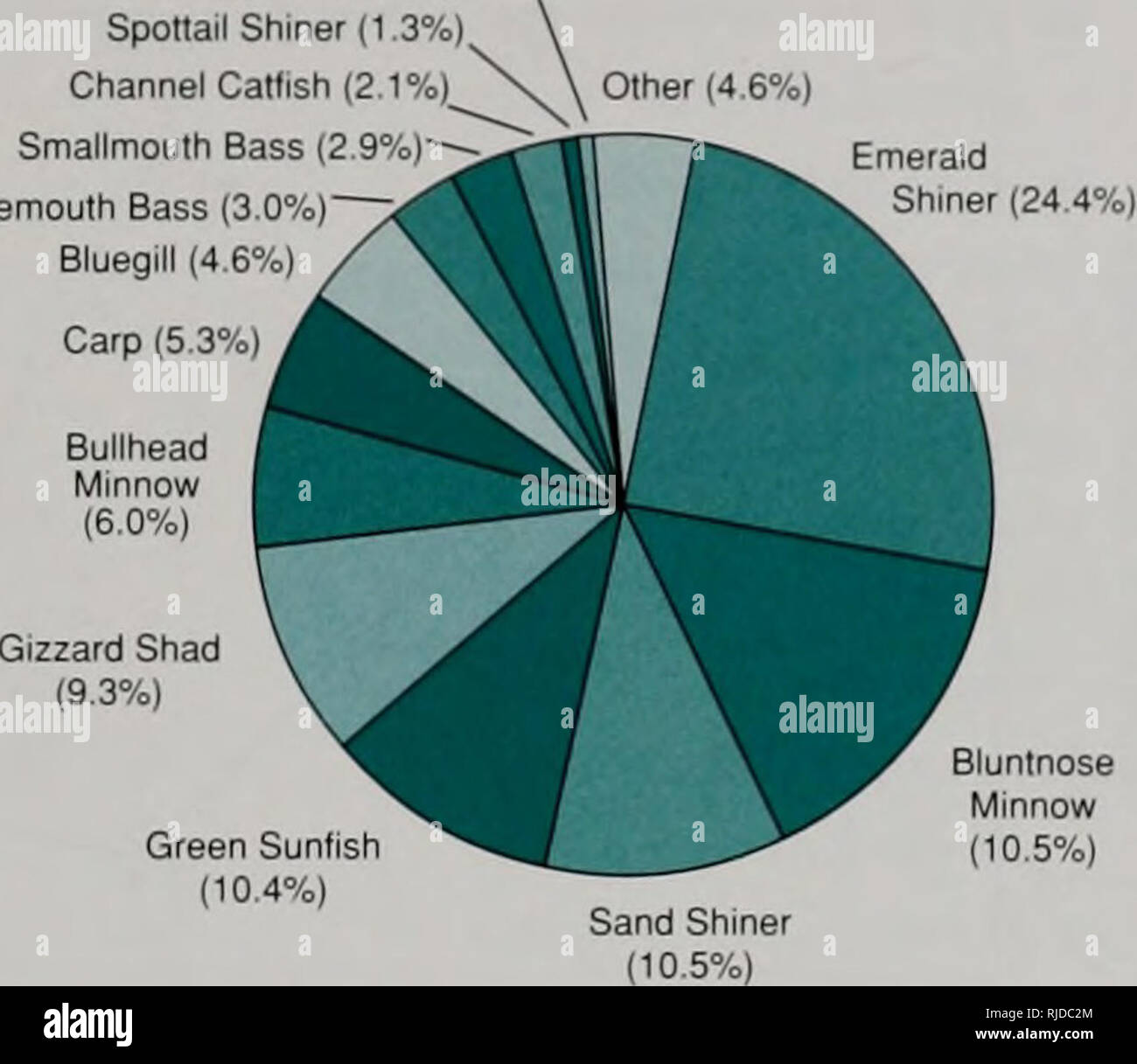 Spottail shiner hi-res stock photography and images - Alamy