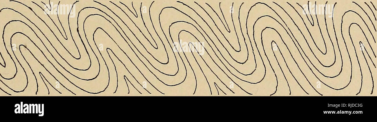 Lateral secretion hi-res stock photography and images - Alamy