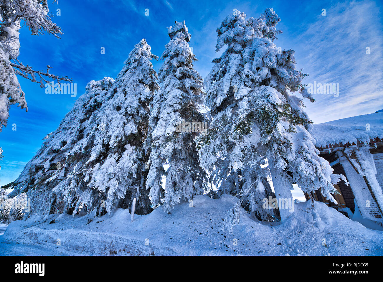 Winter Landscape Snow Mountain Frozen Lake Black Forest Germany Stock ...