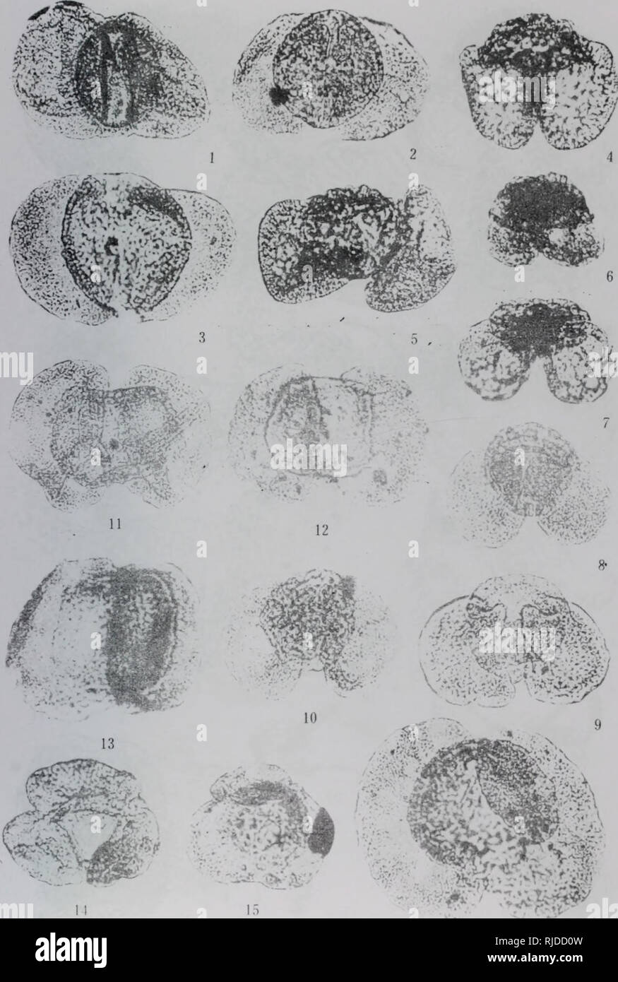 Ji li and guan li hi-res stock photography and images - Alamy