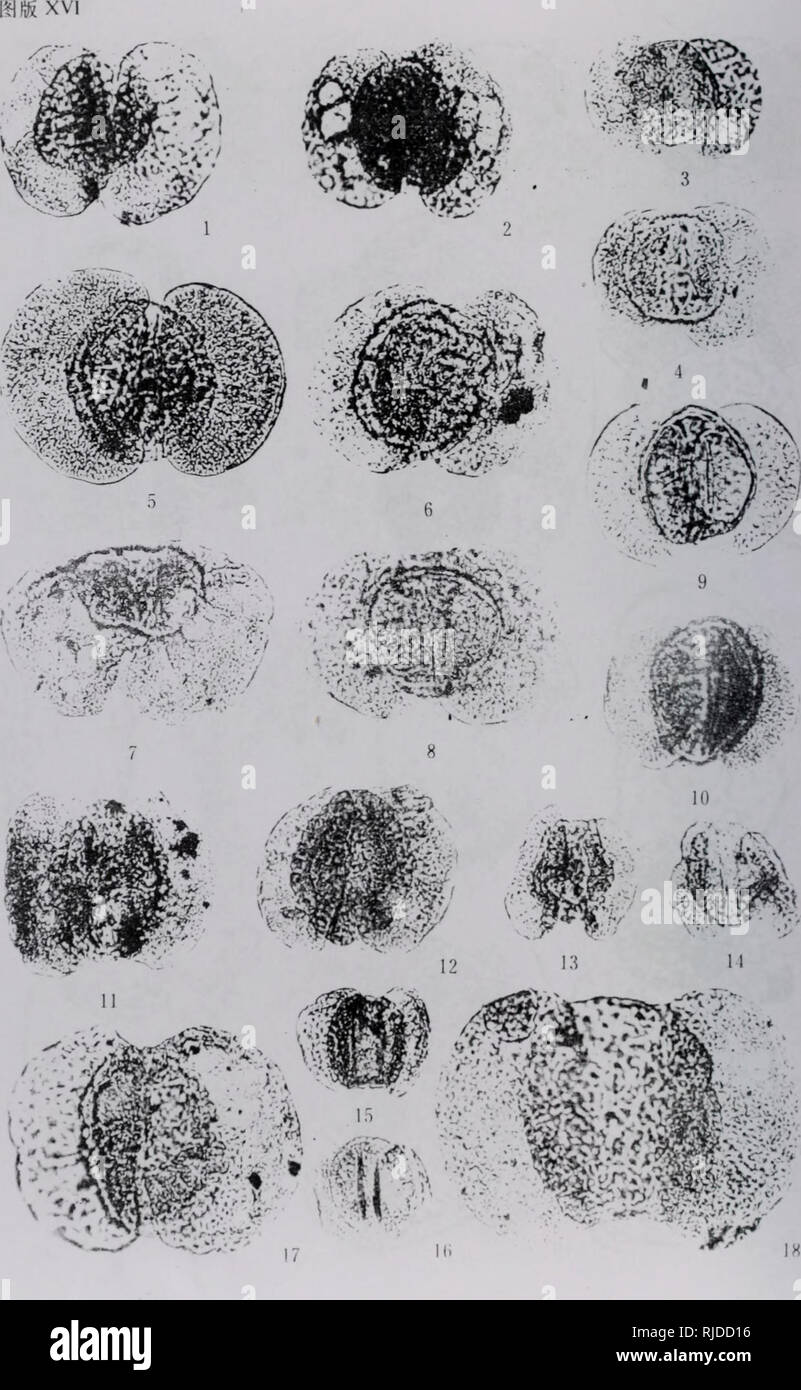 Ji li and guan li hi-res stock photography and images - Alamy