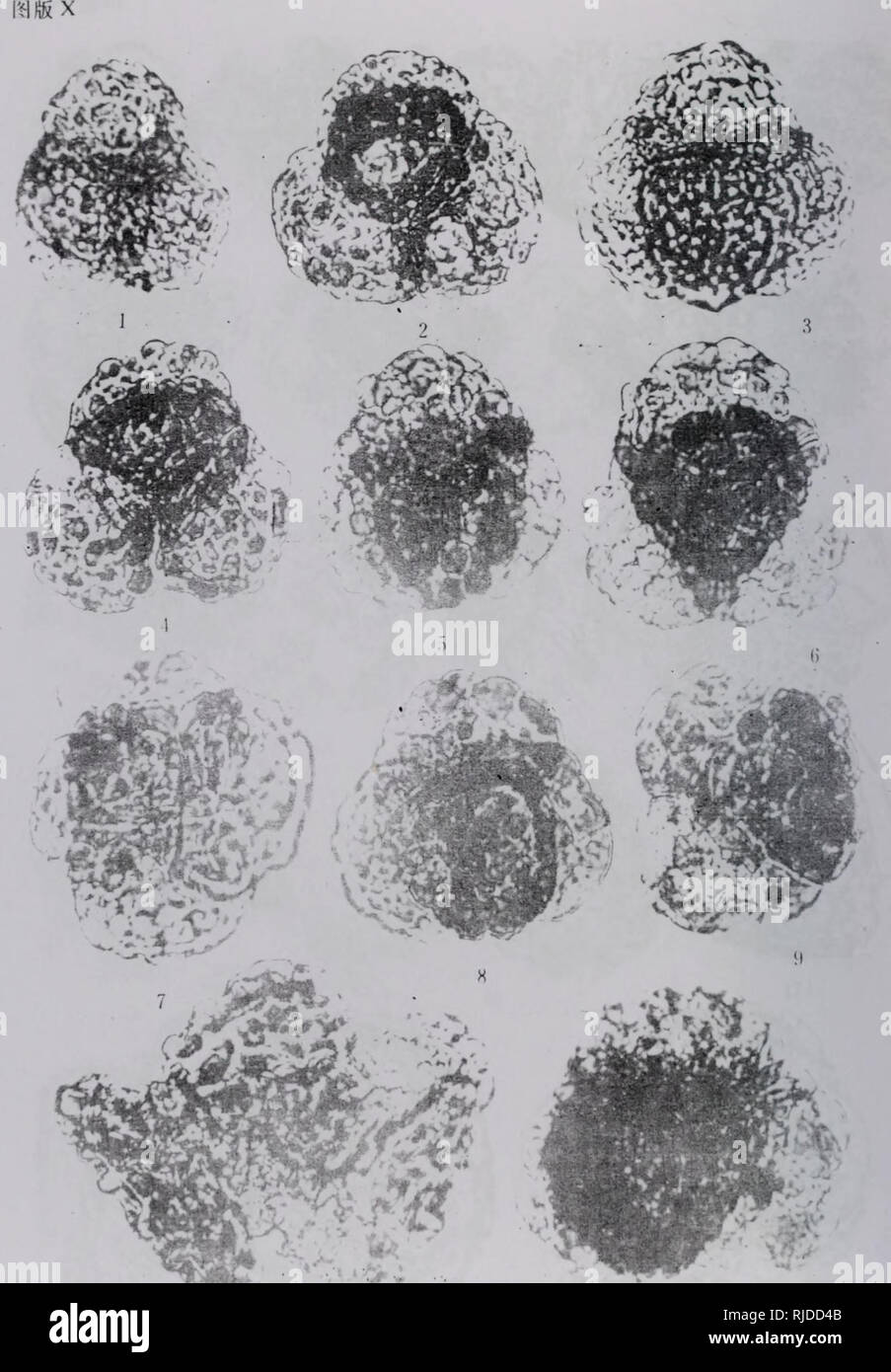 Ji li and guan li hi-res stock photography and images - Alamy