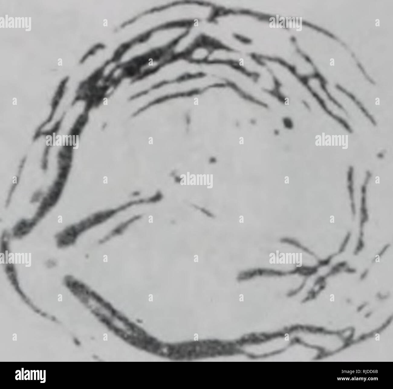 Ji li and guan li hi-res stock photography and images - Alamy