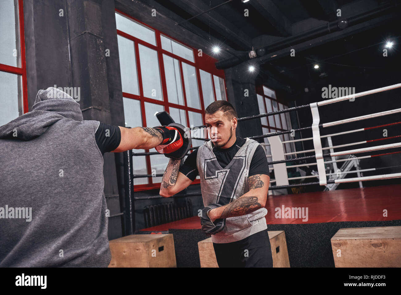 Training hard. Confident muscular tattooed athlete in red gloves ...