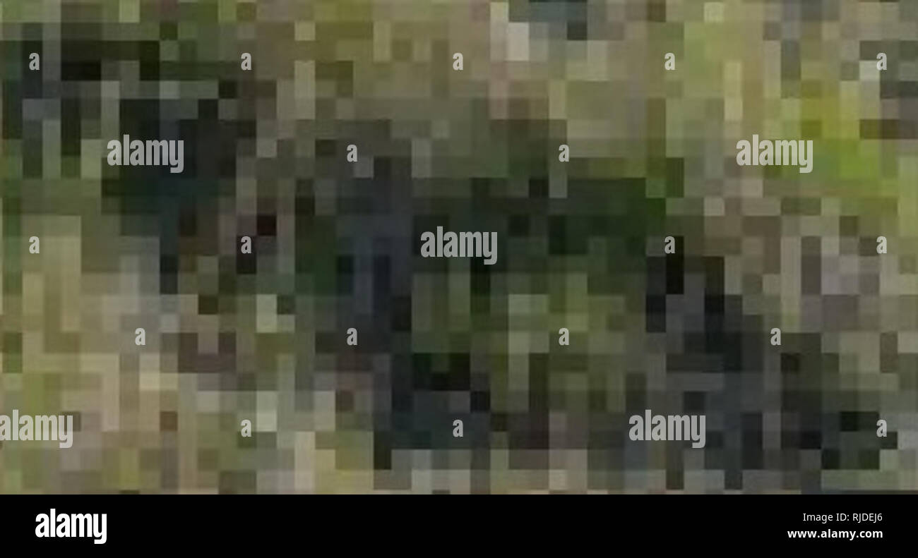 National vegetation classification hi-res stock photography and images ...