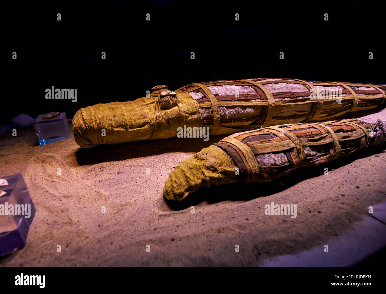 Crocodile mummies on display in the museum in the Temple of Kom Ombo ...