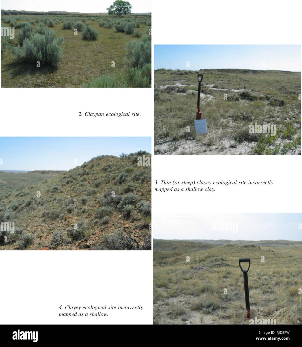 National vegetation classification hi-res stock photography and images ...