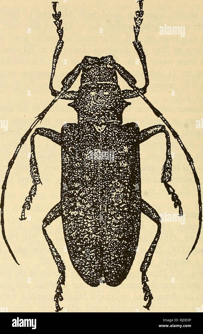 Granular tubercles hi-res stock photography and images - Alamy