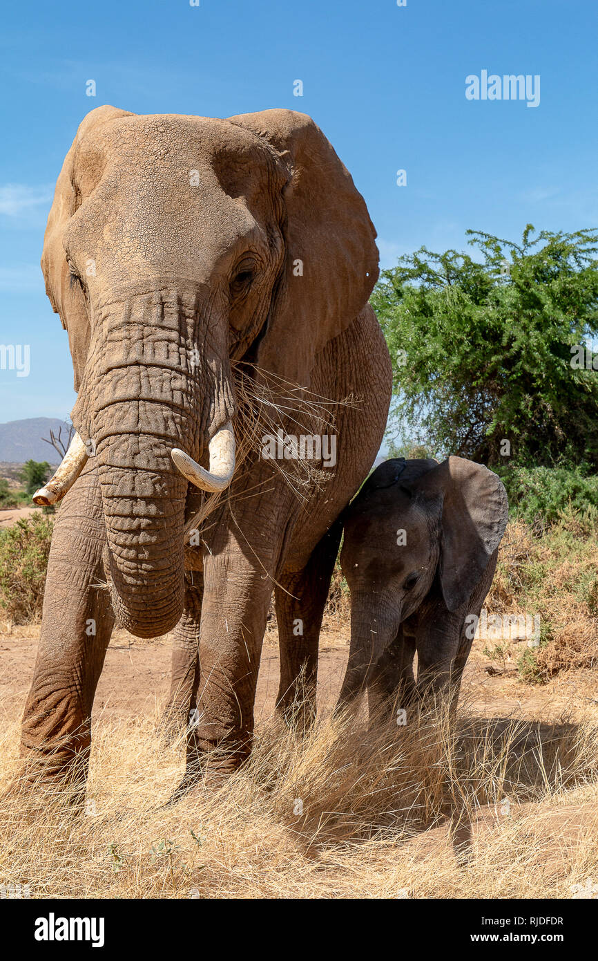 Child empathy african hi-res stock photography and images - Alamy