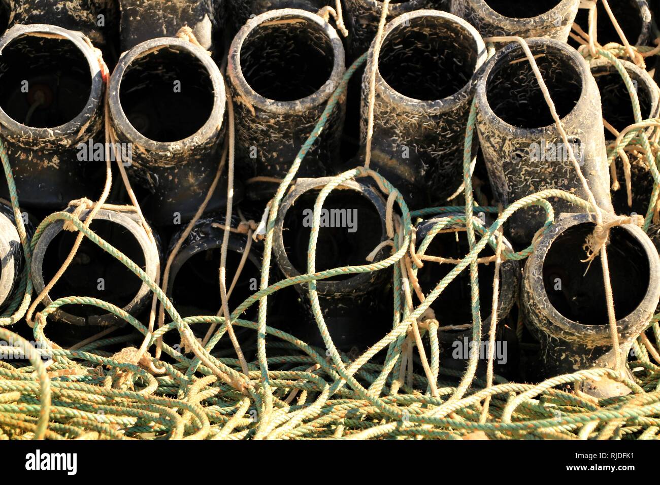 Octopus trap fishery hi-res stock photography and images - Alamy