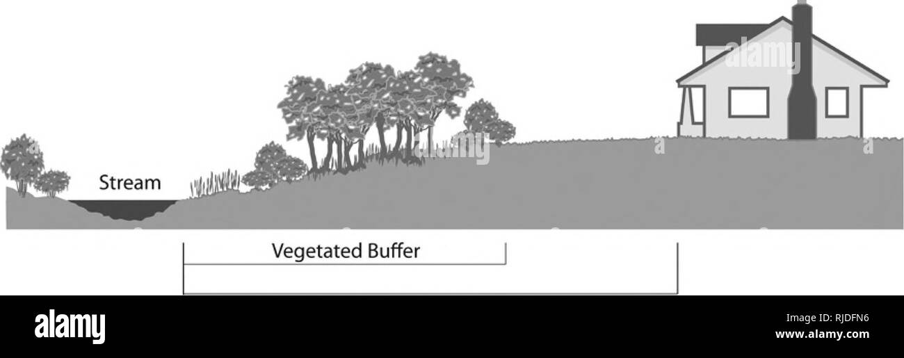 . The need for stream vegetated buffers [electronic resource] : what ...