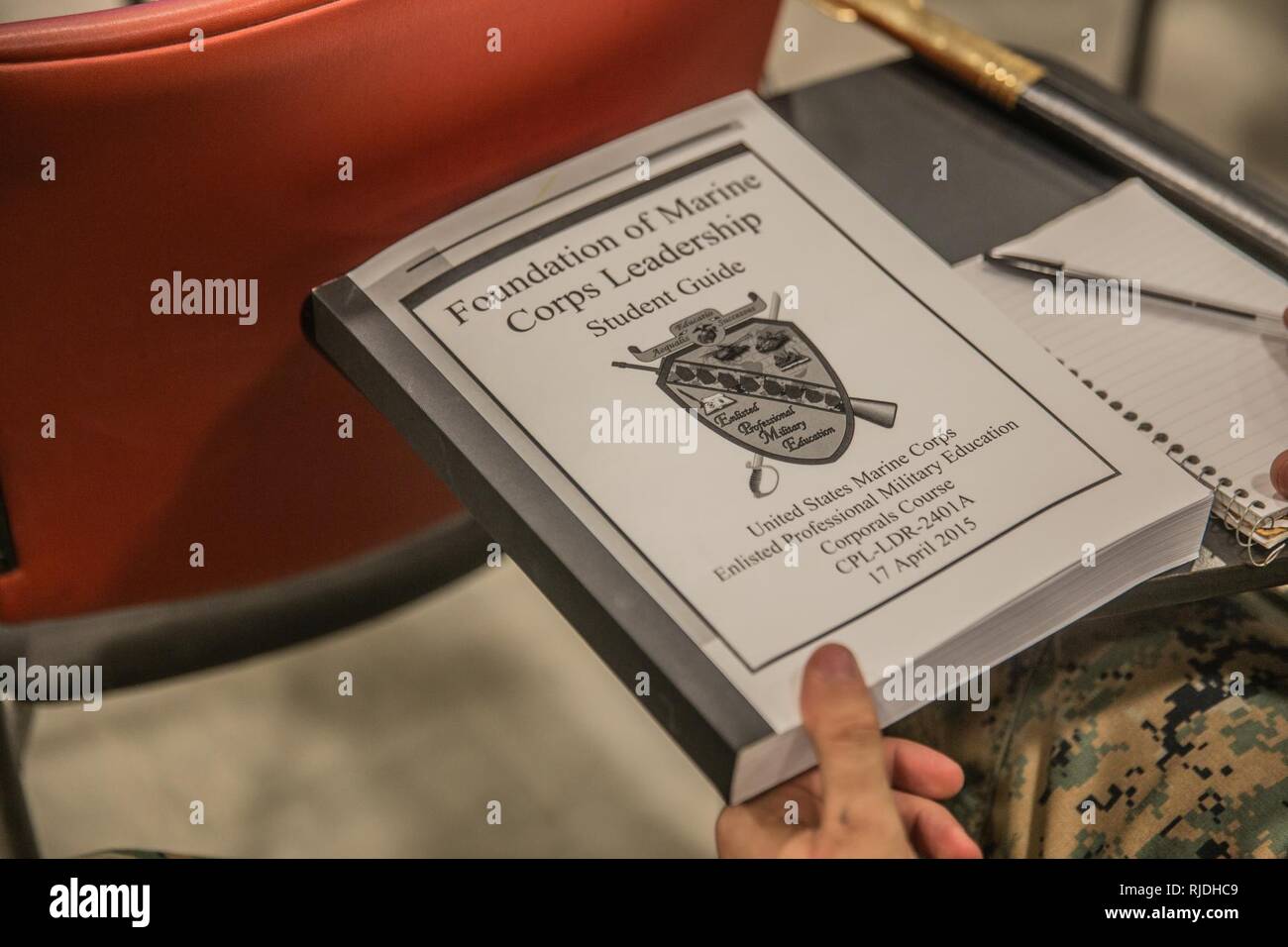 Grooming standards hi-res stock photography and images - Alamy