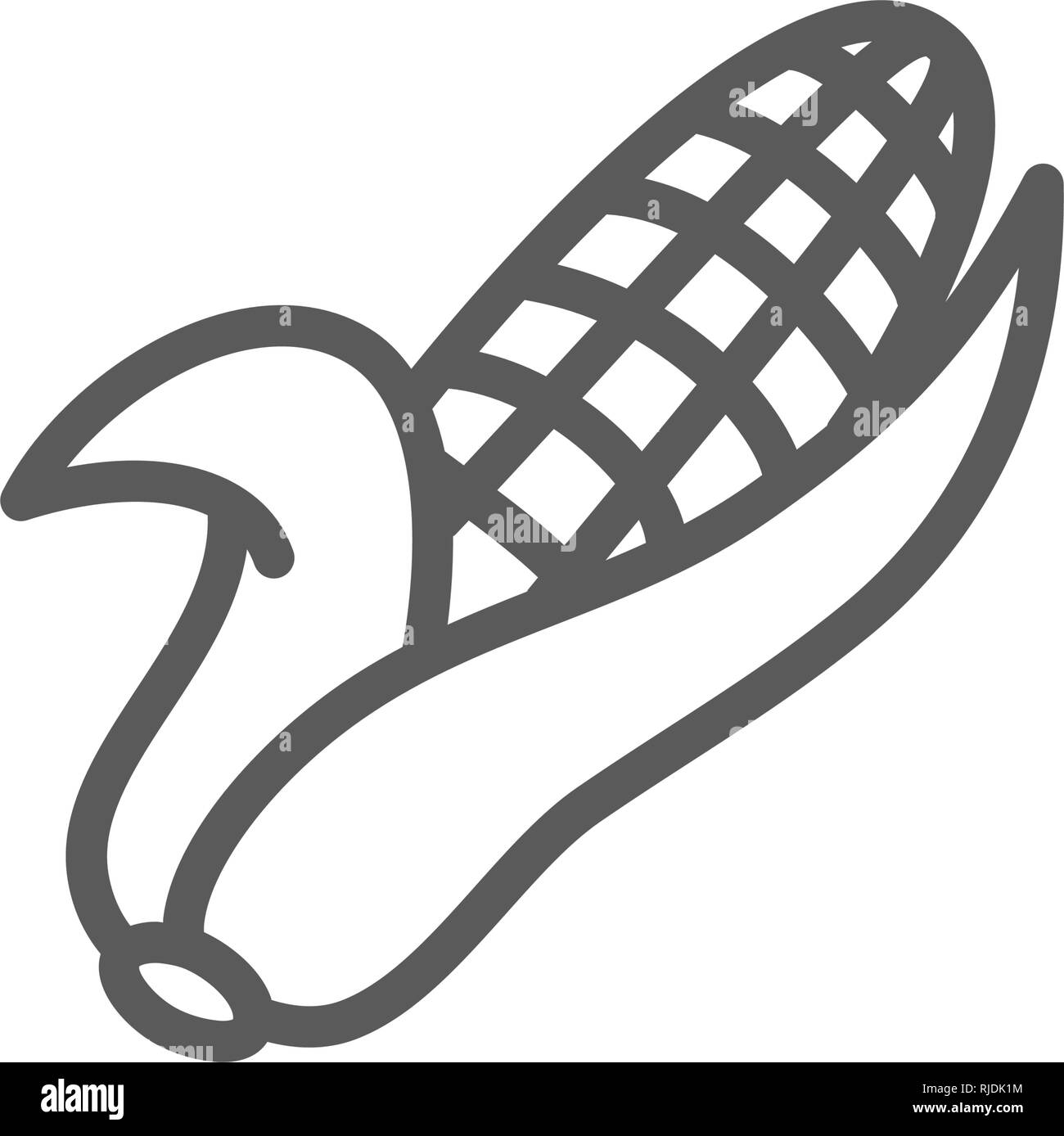 Corn cob plant line Black and White Stock Photos & Images - Alamy