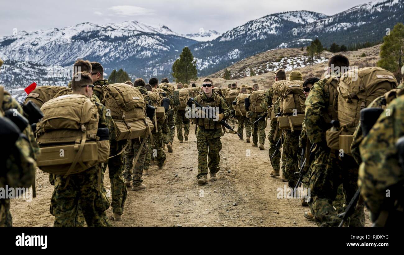 2nd laad hi-res stock photography and images - Alamy