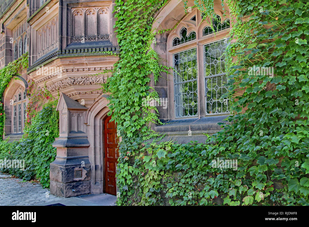 Vine clad building hi-res stock photography and images - Alamy
