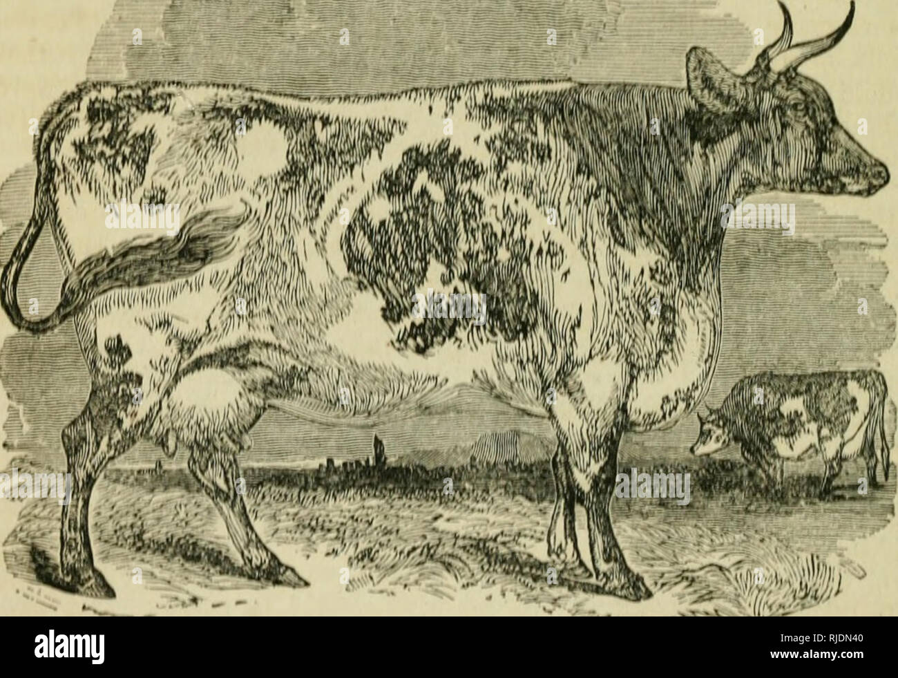 Thin mu hi-res stock photography and images - Alamy