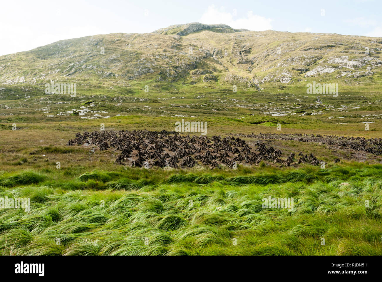 Peat cutting stack hi-res stock photography and images - Alamy