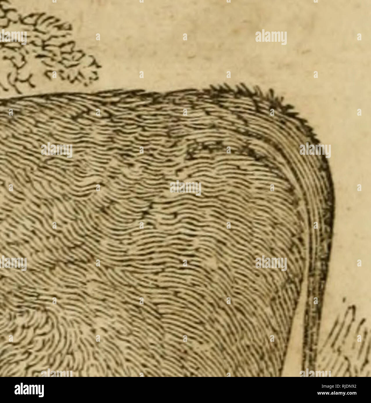 1776 1847 hi-res stock photography and images - Alamy