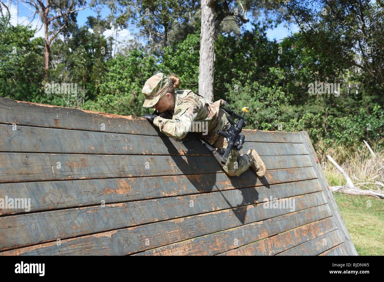 Warriors of the 225 Brigade Support Battalion completed the Dragon ...