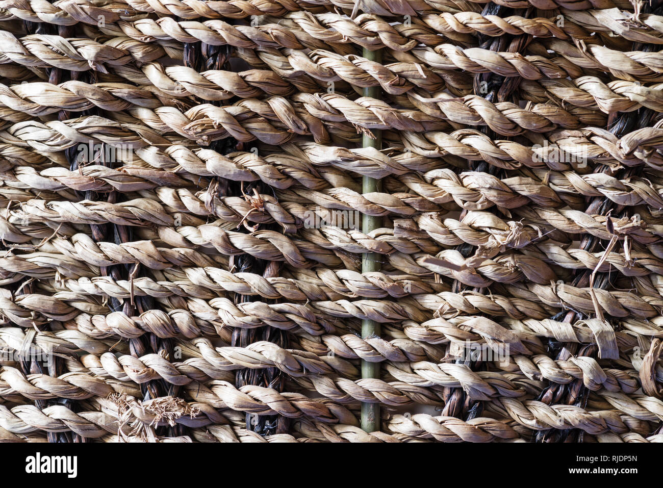 Detail texture hi-res stock photography and images - Alamy