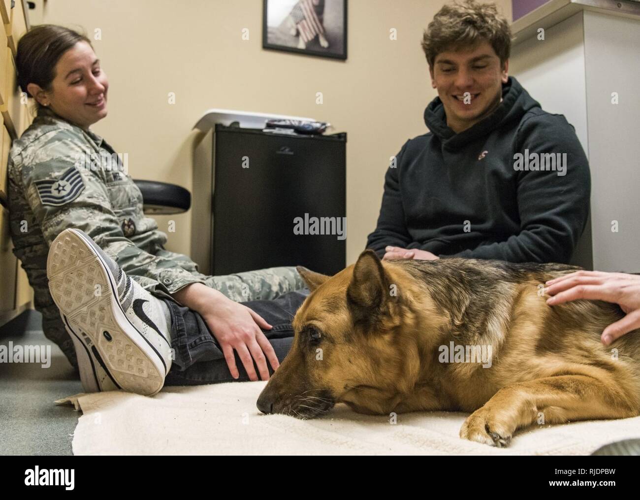 Canine inspections hi-res stock photography and images - Alamy