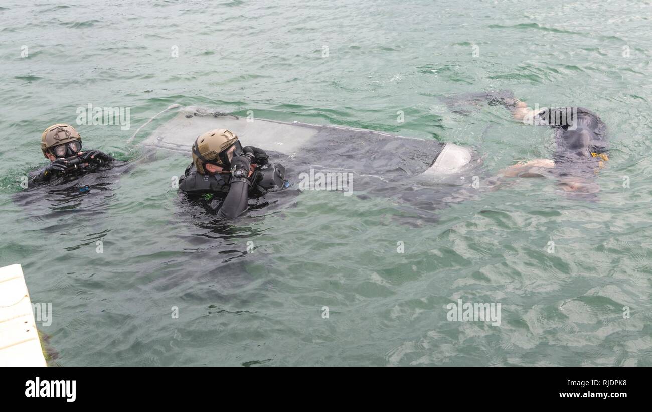 Combatant dive training hi-res stock photography and images - Alamy