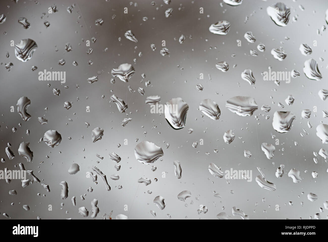 raindrops on a window on a gray rainy day with a very out of focus bare ...