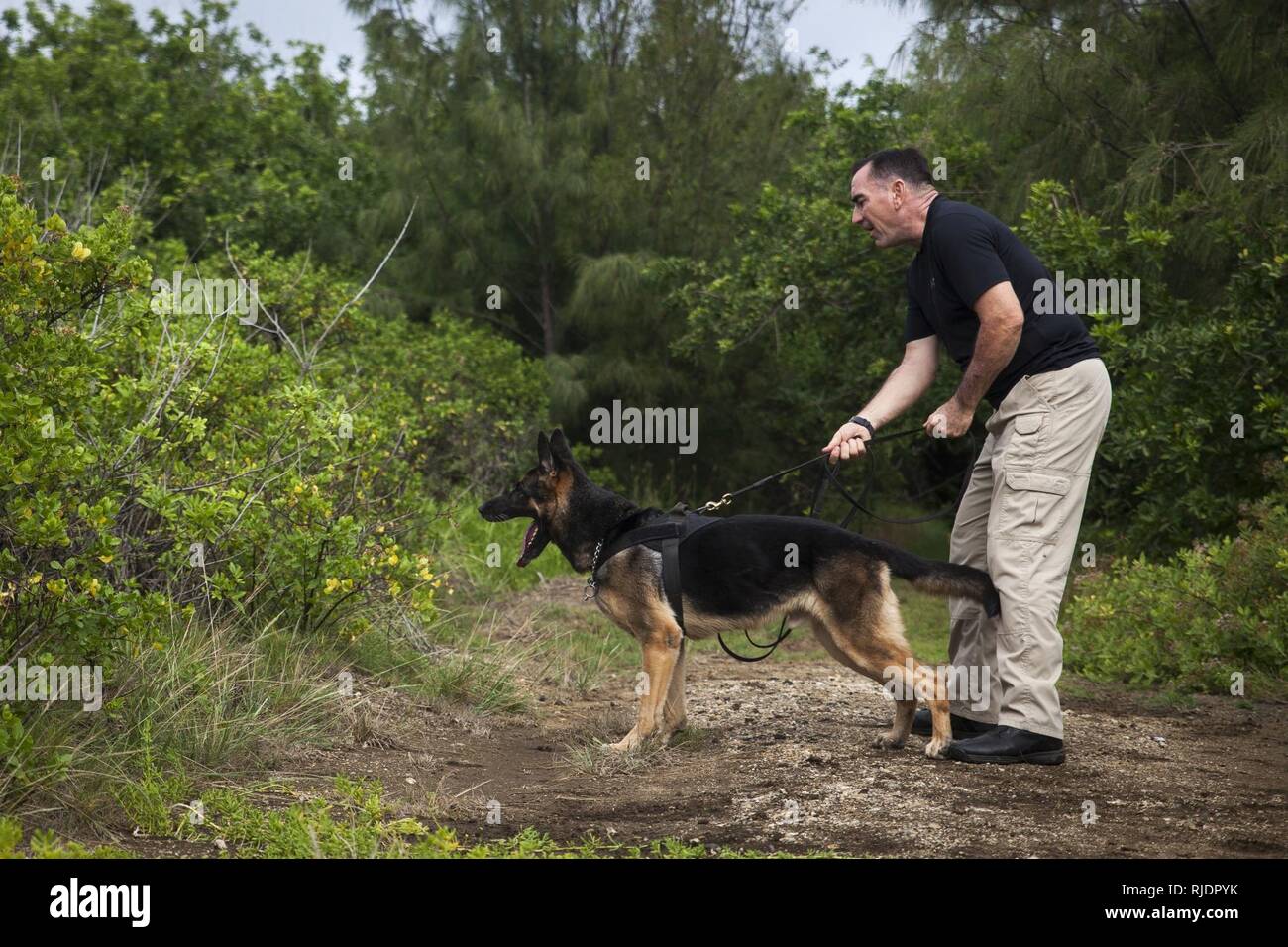 Provost marshals office military working dogs hi-res stock photography ...