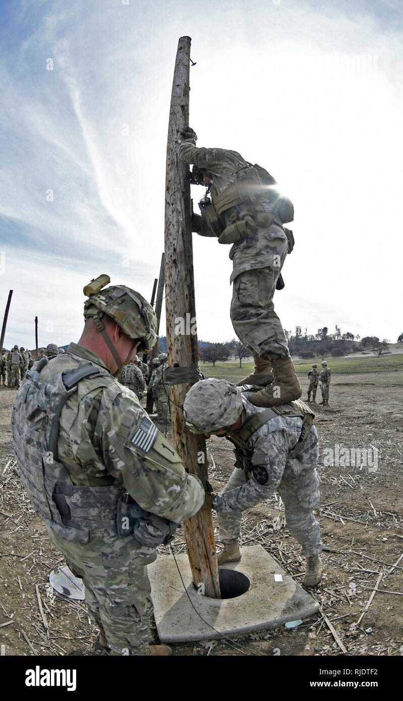 Abatis hi-res stock photography and images - Alamy