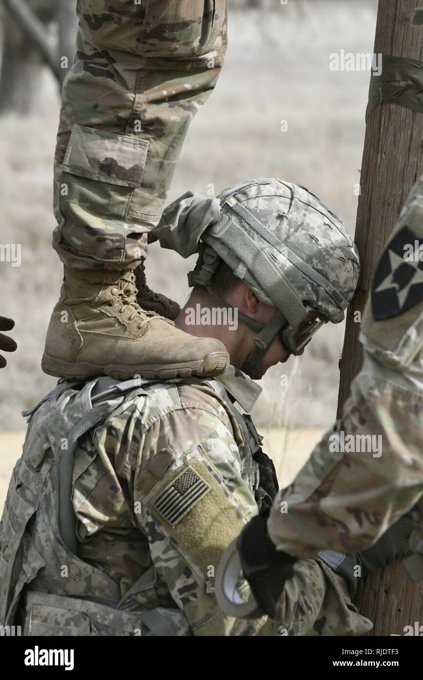 Abatis hi-res stock photography and images - Alamy