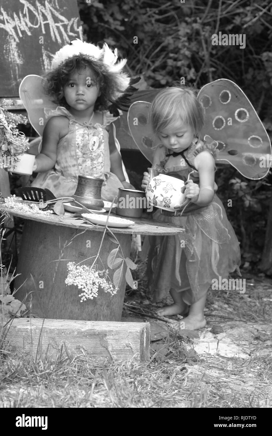 Two fairies playing Stock Photo - Alamy
