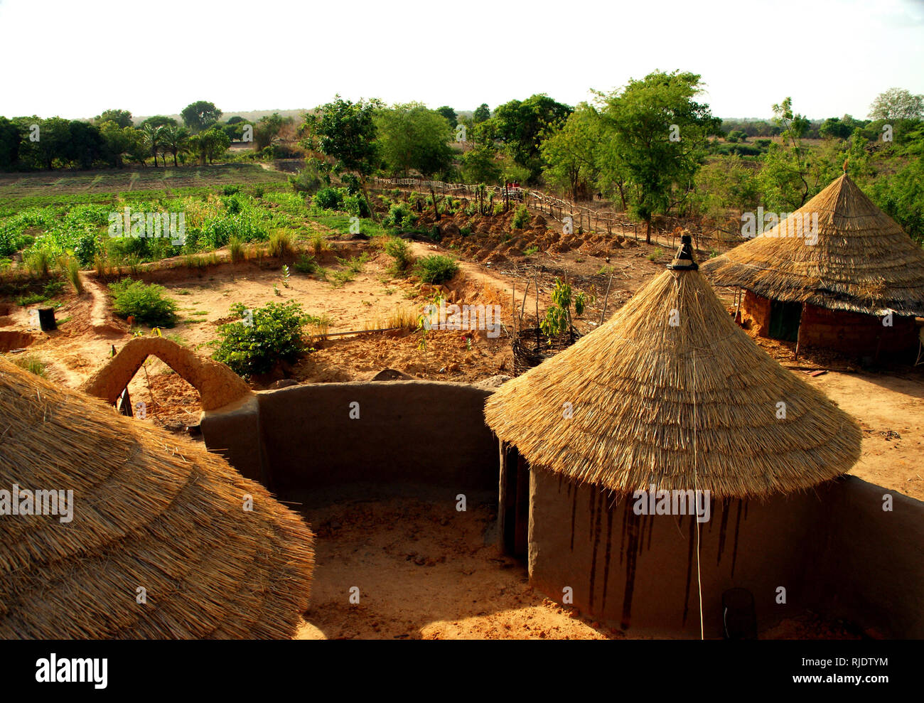 Ghana farming hi-res stock photography and images - Alamy