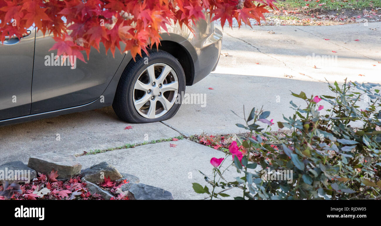 A flat tire on a fall day Stock Photo - Alamy
