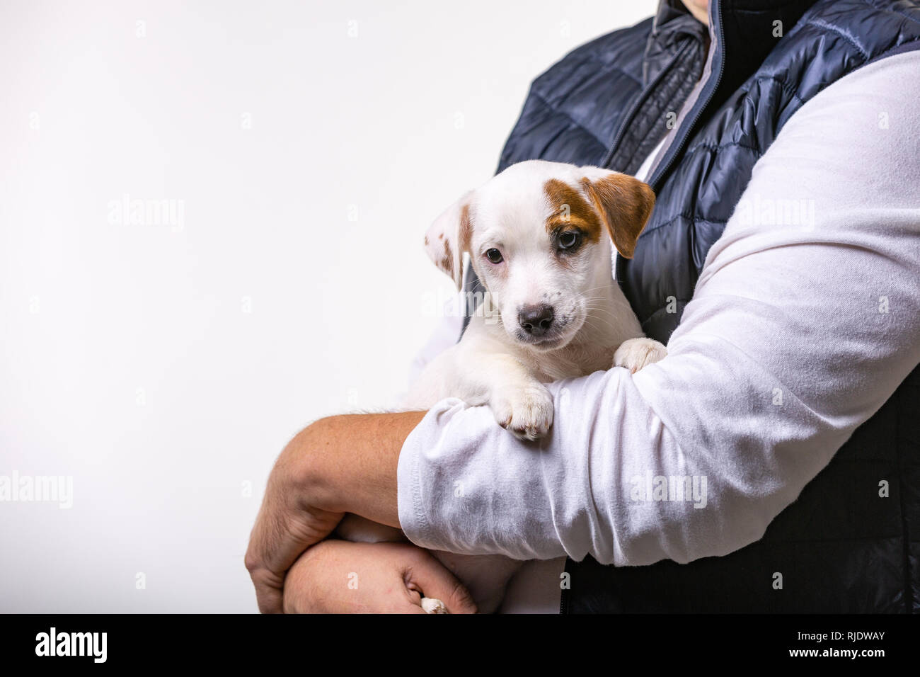 Horizontal portrait of handsome cheerful man holds jack russell ...