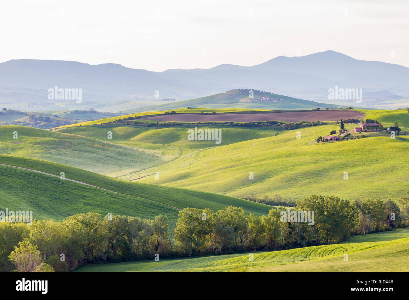 Hills and valleys in a rural Italian landscape Stock Photo - Alamy
