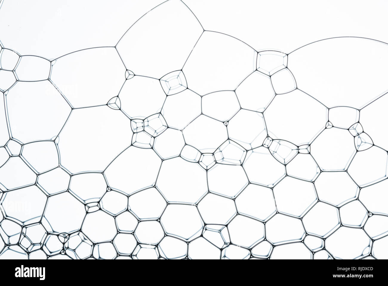 Geometric cells formed by soap bubbles and water, for background or ...