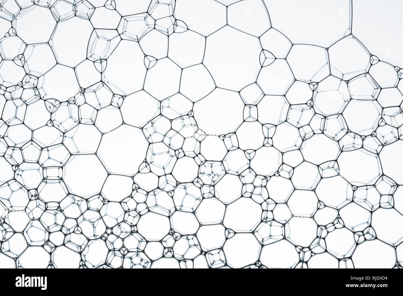 Geometric cells formed by soap bubbles and water, for background or ...